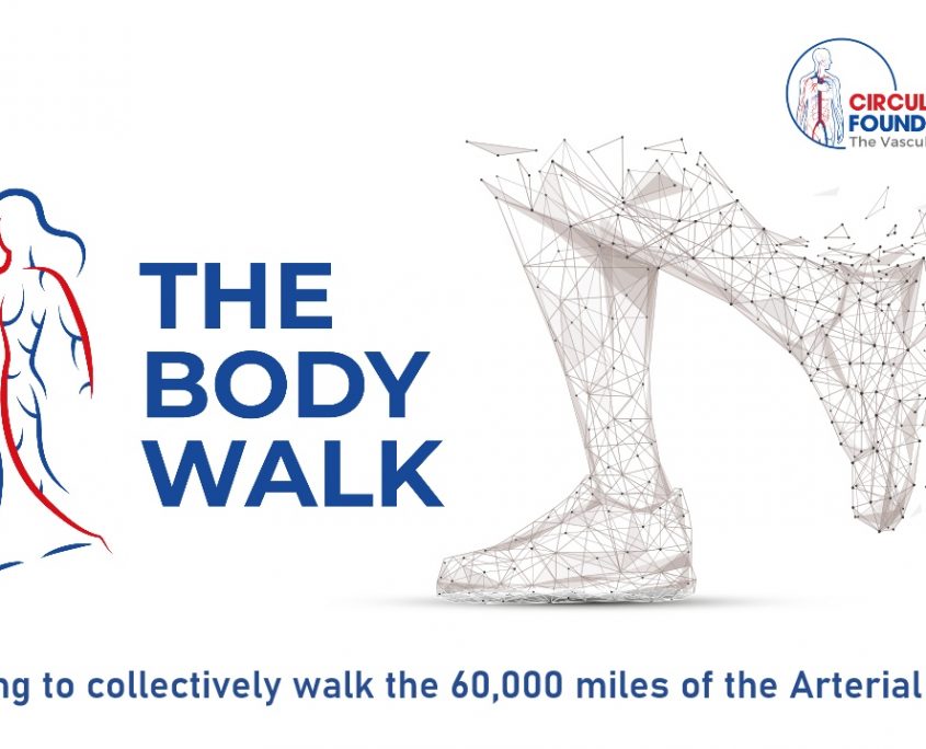 APC Cardiovascular | A leading supplier of innovative medical products ...